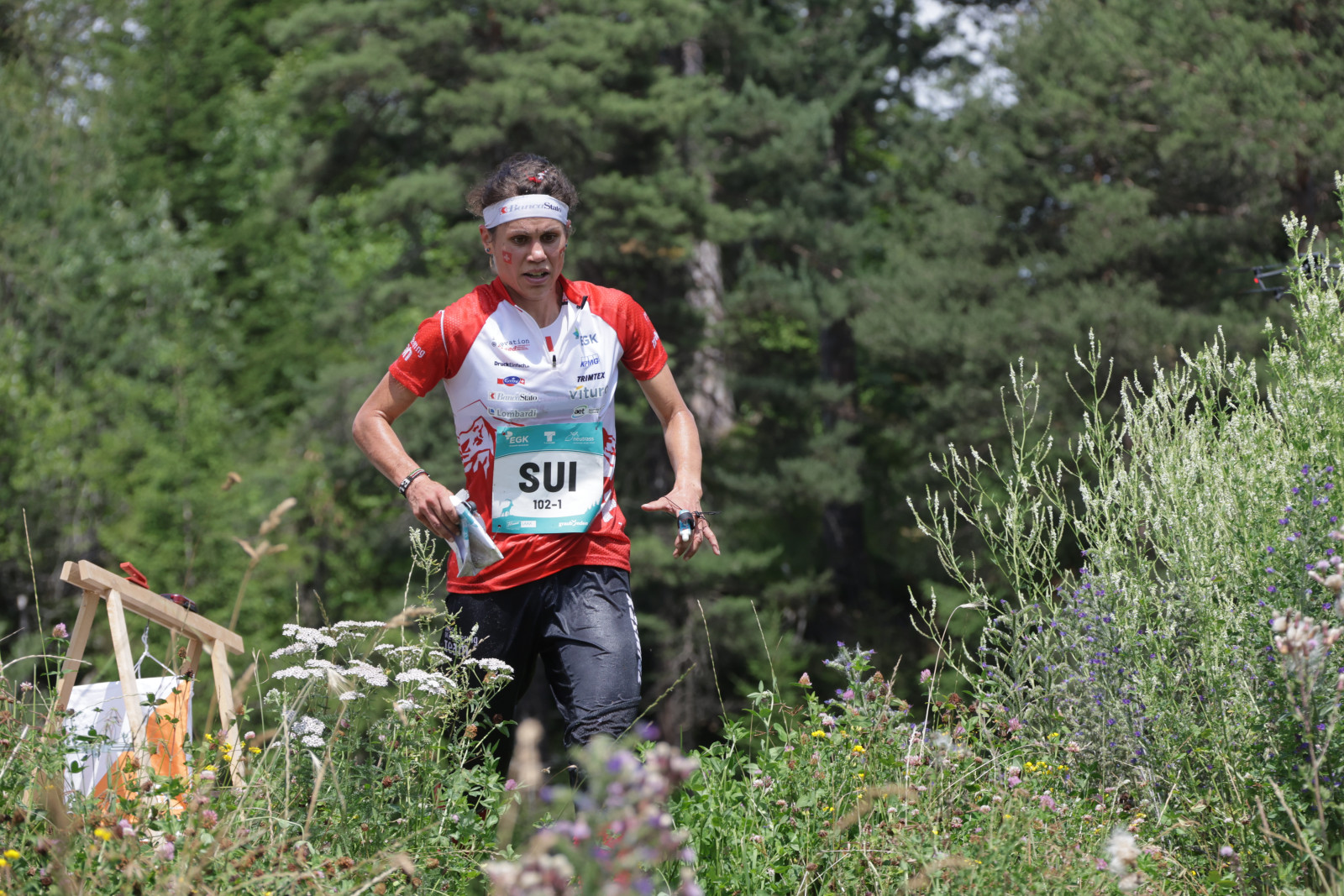 Home - Swiss Orienteering, Schweizer Orientierungslauf-Verband